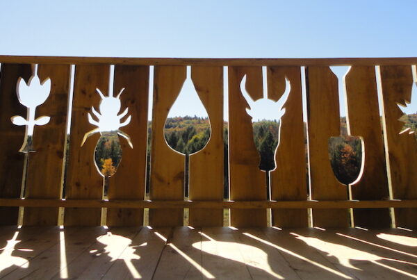 Home - Kroka Expeditions